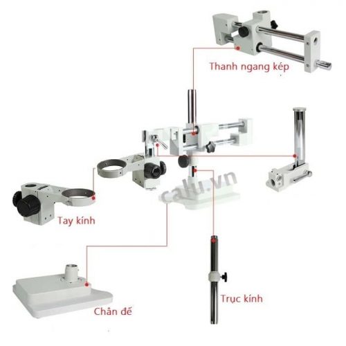 Giá đỡ STL2 kính hiển vi - CALU.vn